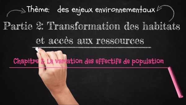 partie3-variation des effectifs