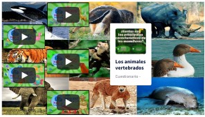 Animales vertebrados | Genially