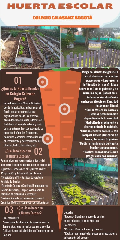 HUERTA ESCOLAR CCB | Genially