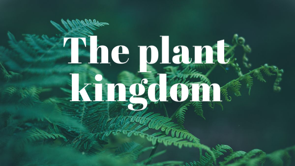 The plant kingdom