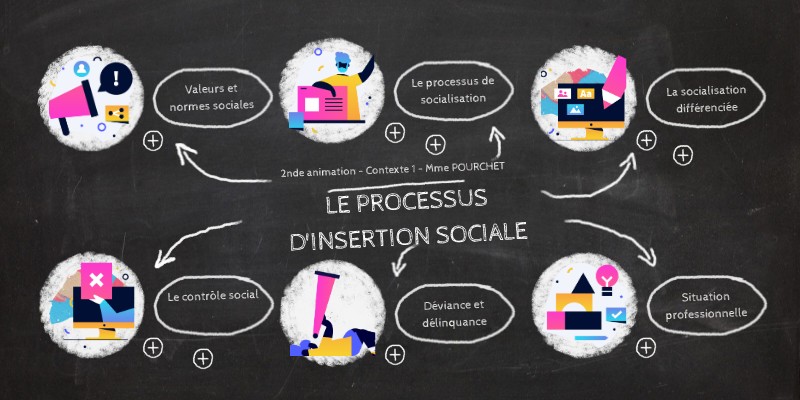 Le processus d'insertion sociale