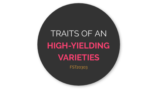 High Yielding Variety