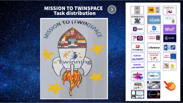 MISSION TO TWINSPACE Task distribution