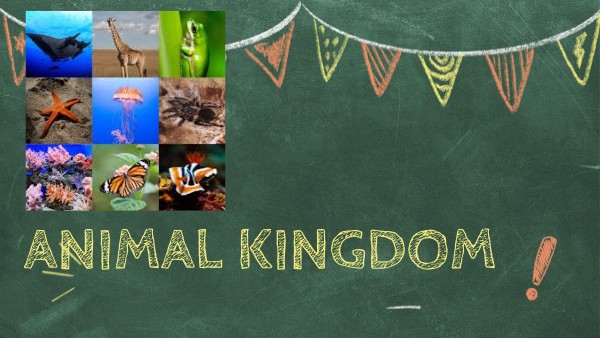 ANIMAL KINGDOM | Genially