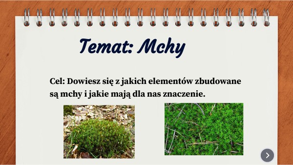 Mchy-kl.5 | Genially