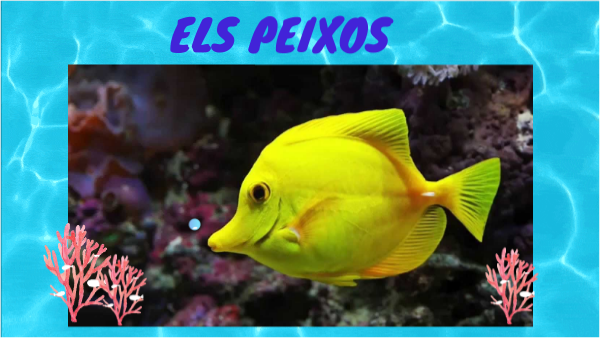 Els peixos