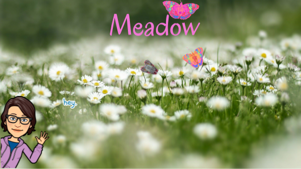 Meadow | Genially