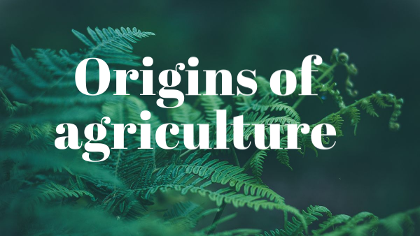 Plants and animals domestication process