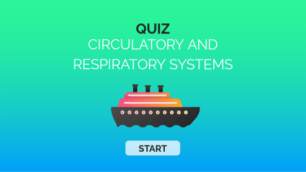 Circulatory and respiratory system | Genially