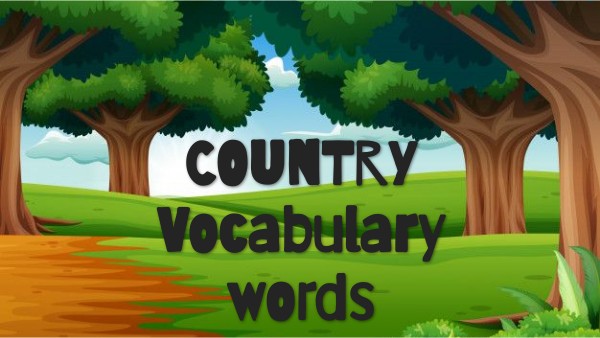 Country vocabulary words
