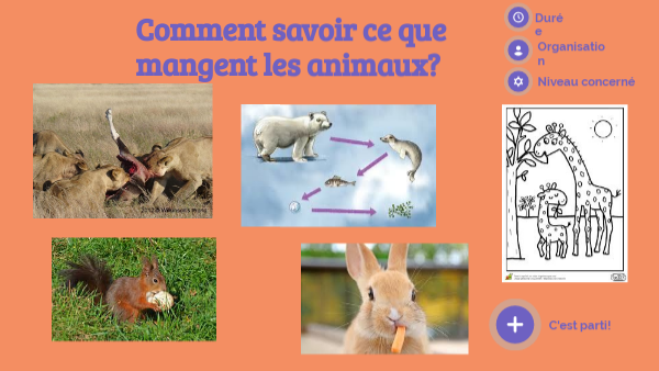 besoins nutritifs des animaux