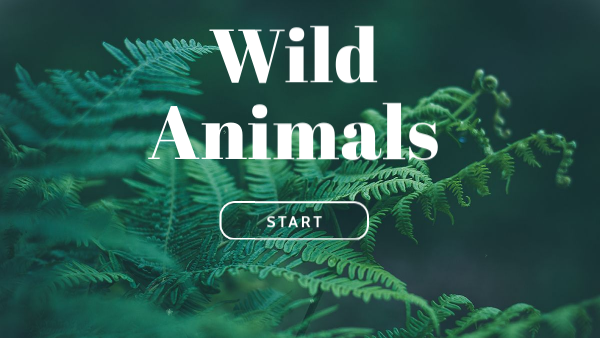 Young Learners Wild Animals