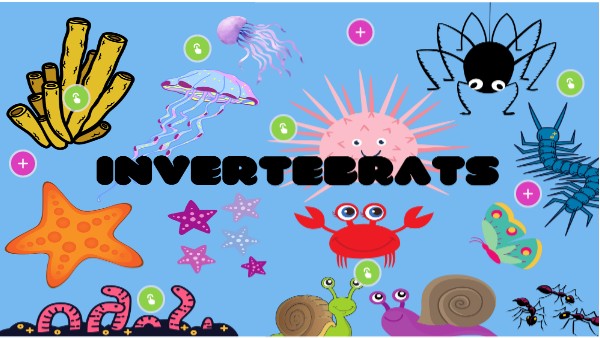 INVERTEBRATS | Genially