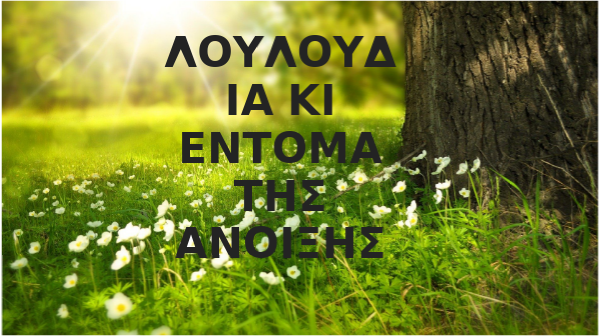 ΛΟΥΛΟΥΔΙΑ ΚΙ ΕΝΤΟΜΑ ΤΗΣ ΑΝΟΙΞΗΣ