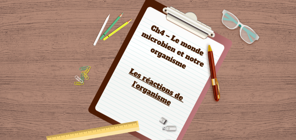 3ème - Ch4 - 2 | Genially