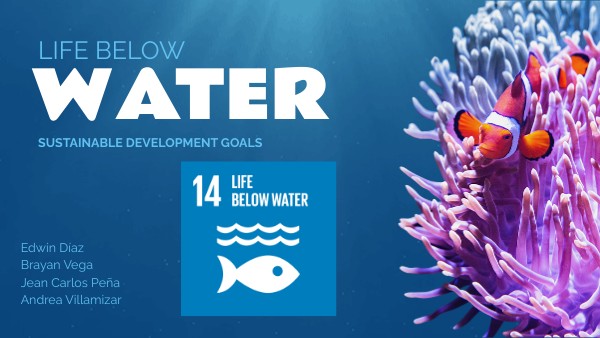 LIFE BELOW WATER