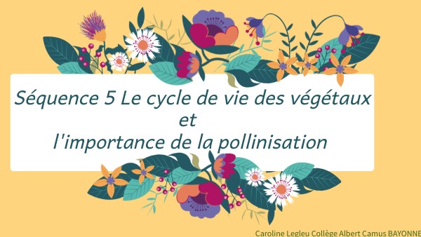 Cycle de vie et pollinisation 6e | Genially