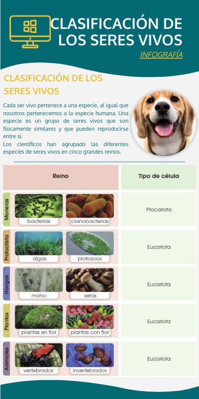 CLASIFICACIÓN DE LOS SERES VIVOS | Genially