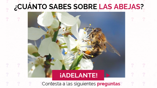 Quiz - Las abejas | Genially