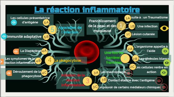 Réaction inflammatoire
