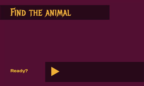 Animals
