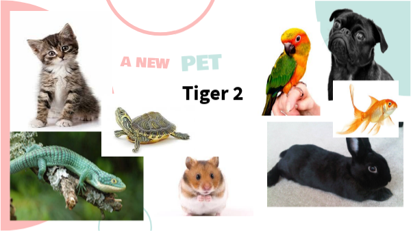 Tiger 2 Unit 2 Lesson 1 | Genially