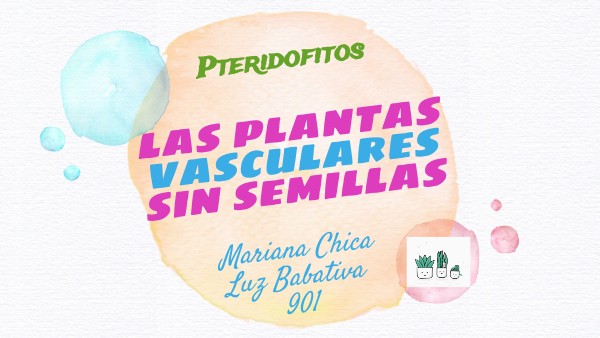 Pteridofitos Las Plantas Vasculares Sin Semillas 8008
