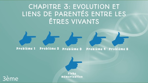 Chap 3 évolution et liens de parentés | Genially