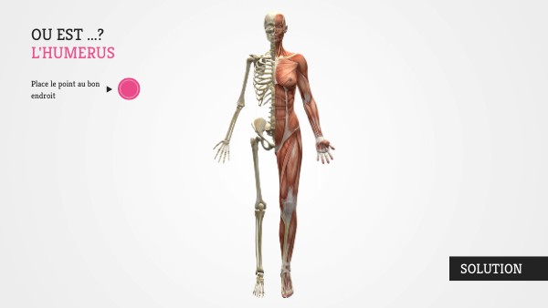 CONNAISSANCE DU CORPS | Genially