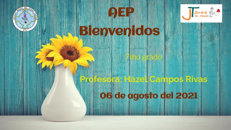 Clase virtual 17 para 7mo