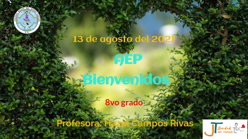 Clase virtual 19 para 8vo