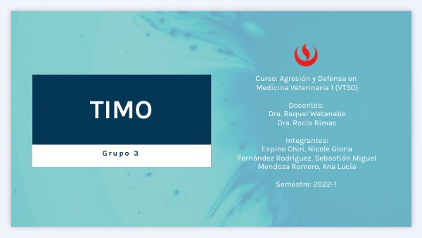 TIMO_GRUPO 3 | Genially