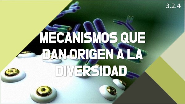 DIAGONAL PROJECT PRESENTATION | Genially