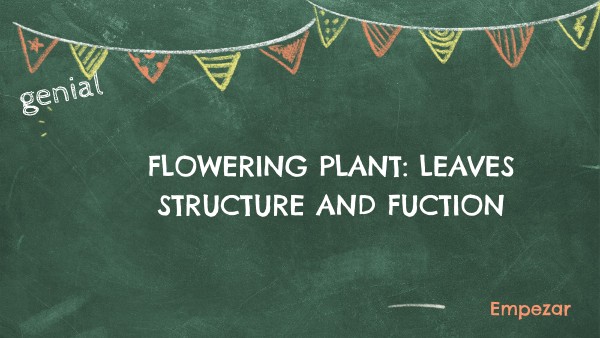 6TH SCIENCE.6TH SCIENCE FLOWERING PLANT: LEAVES, FUNCTION | Genially