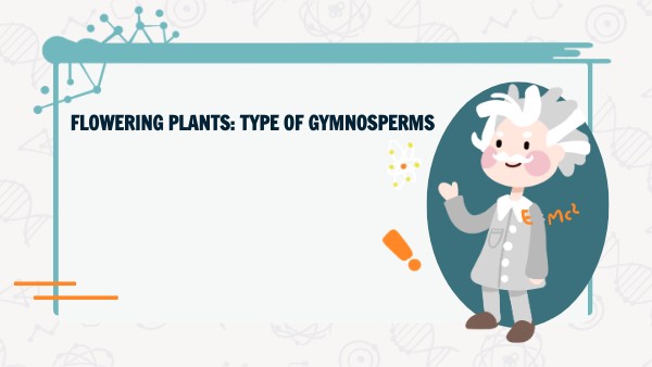 6th science flowering plants type s of gymnosperm. | Genially