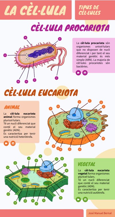 La cèl·lula | Genially