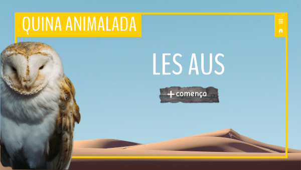 QUINA ANIMALADA- LES AUS