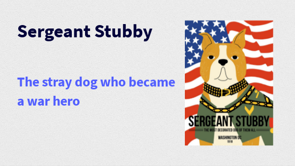 Sergeant Stubby