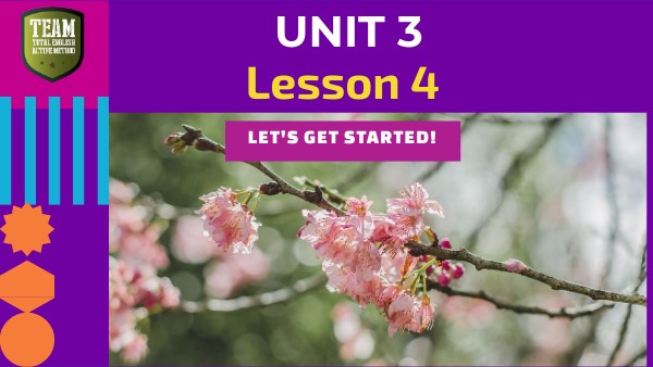 UNIT 3 Lesson 4