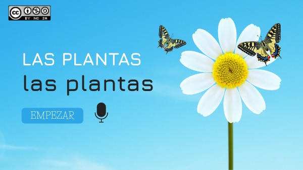 LAS PLANTAS