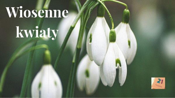 Wiosenne kwiaty j.sz. | Genially