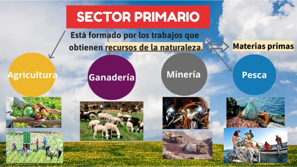 Sector primario | Genially