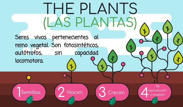 THE PLANTS | Genially