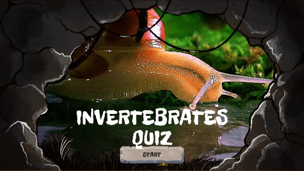 INVERTEBRATES QUIZ