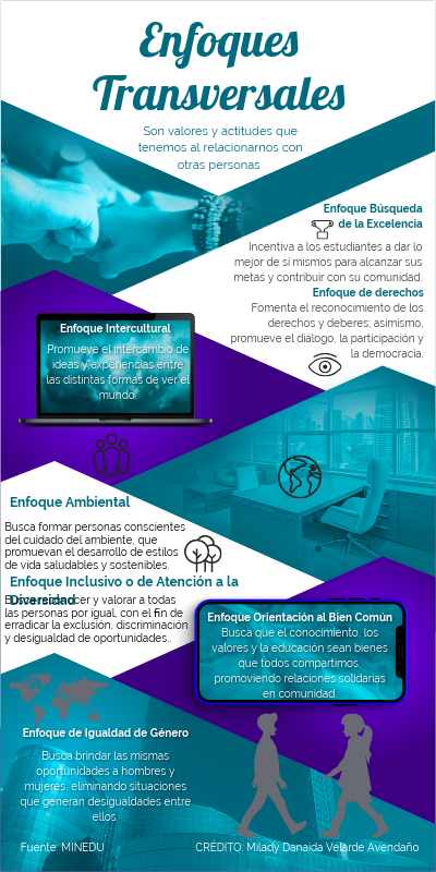 ENFOQUES TRANSVERSALES Milady Velarde Avendaño