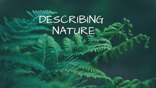 HPF u3, l3 + Describing Nature