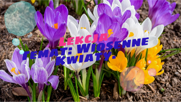 Wiosenne kwiaty | Genially