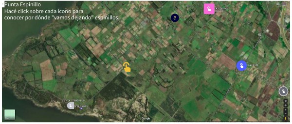 UBICANDO LOS ESPINILLOS EN LA ZONA