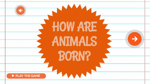 HOW ARE ANIMALS BORN contents | Genially