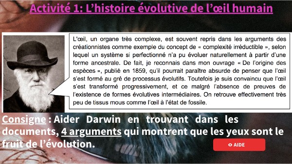Activité 1: L’histoire évolutive de l’œil humain | Genially
